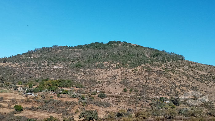 Index of /EL_TEPOZAN